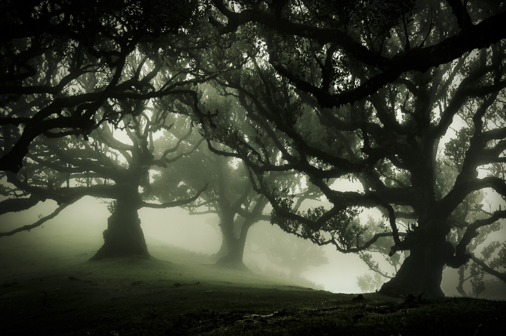 Monatsbilder November 2017